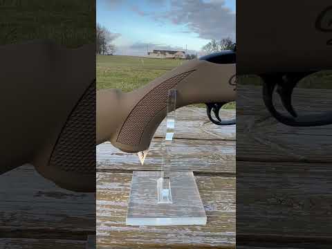 RUGER 10/22 22LR “TRUMP 45/47 BULLET PROOF” SEMI-AUTO RIFLE