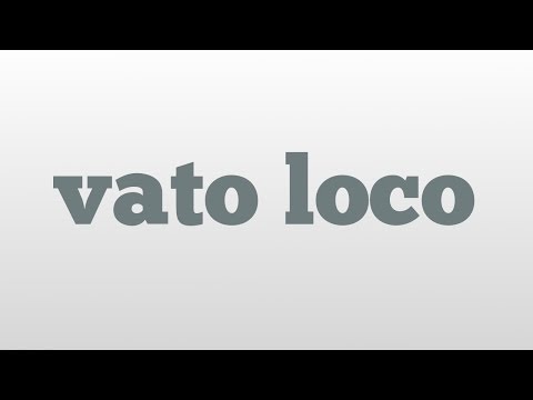 vato loco meaning and pronunciation