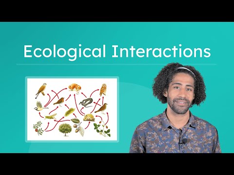 Ecological Interactions - How Organisms Interact in Ecosystems