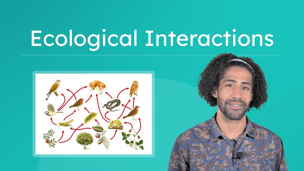 Ecological Interactions - How Organisms Interact in Ecosystems