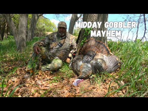 Turkey Hunting 2024 | Hunting A Late Season Midday Gobbler Mayhem