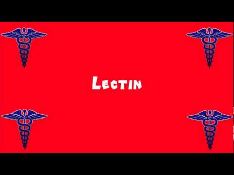 Pronounce Medical Words ― Lectin