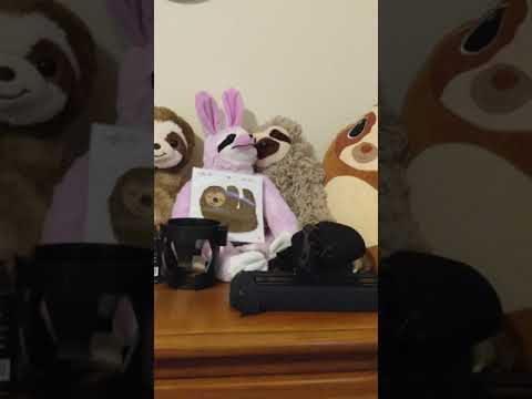 My awesome Sloth collection!