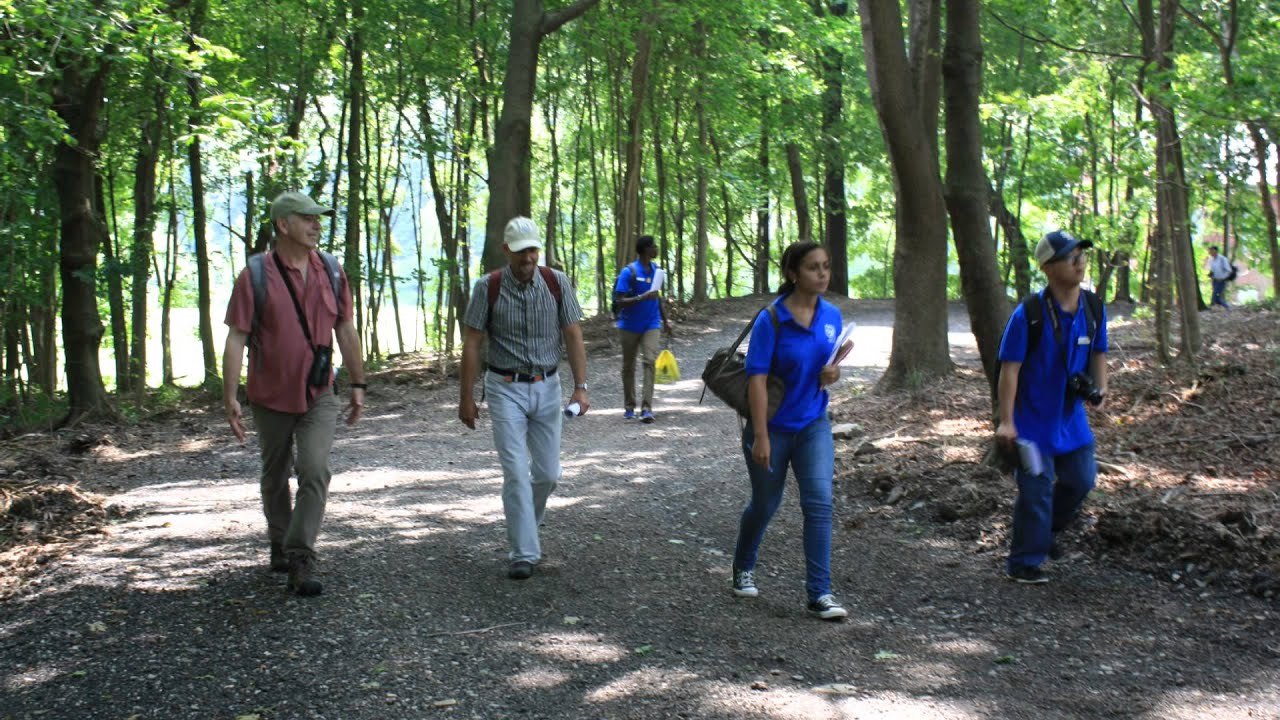 Designing the Parks 1 week site discovery