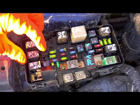 2004 Honda Civic AC Fuses, AC Relay Location