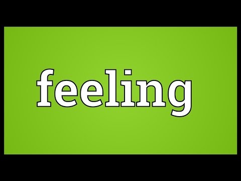 Feeling Meaning