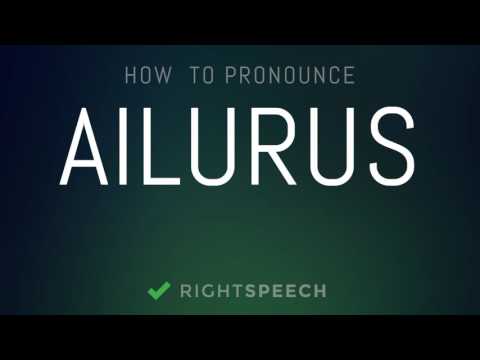 Ailurus - How to pronounce Ailurus