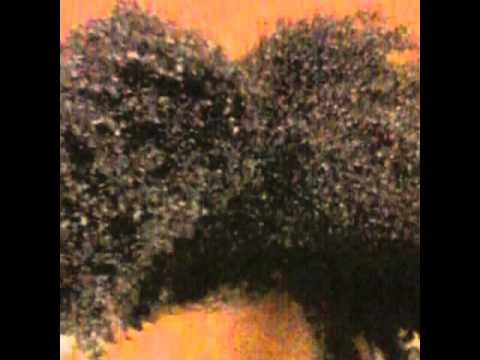 What does 4a/4b hair look like