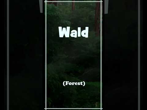 German dictionary [ Wald | Forest ]