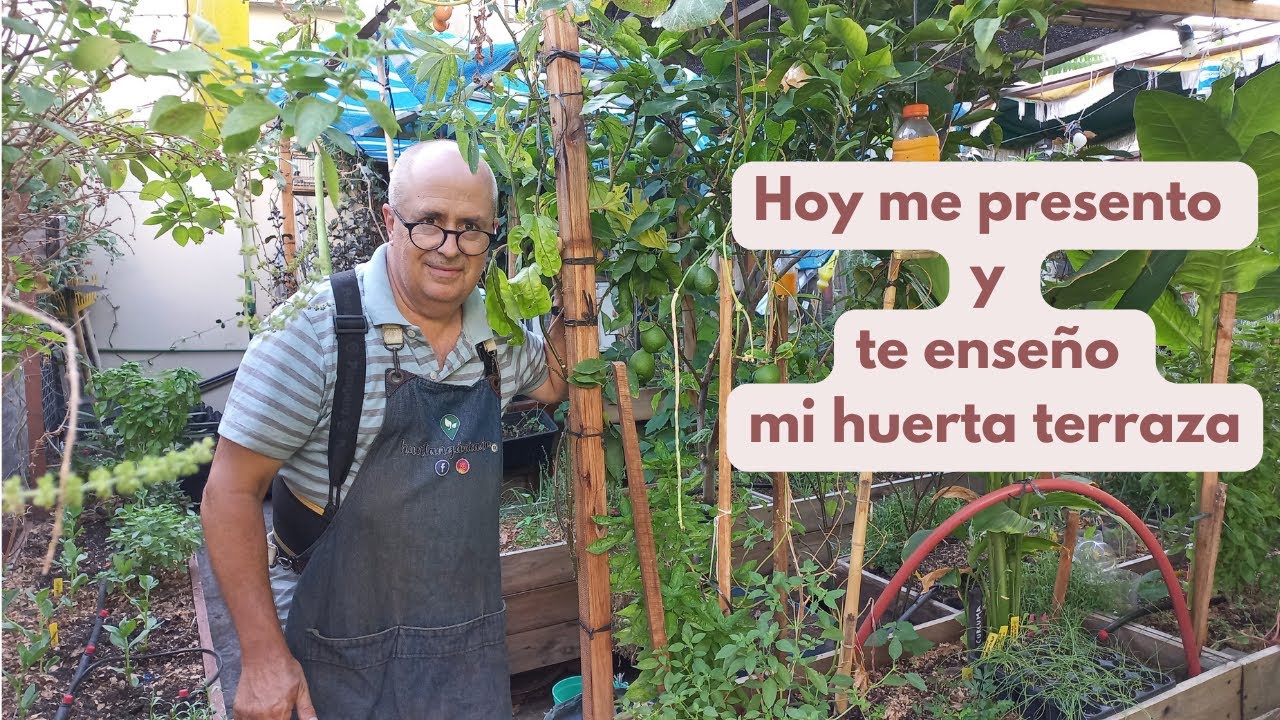 🌱 Tene tu propia huerta, yo te enseño como desde cero.