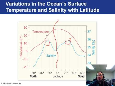 Earth Science Chapter 14: Ocean Water Ocean Life
