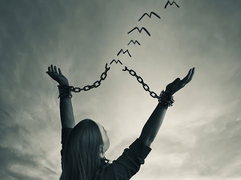 Traffickcam (Human Trafficking)