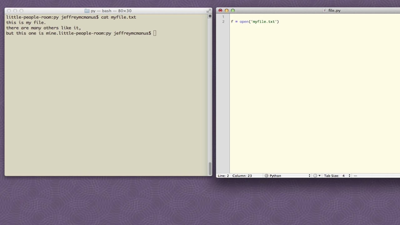CodeLesson Reading Files in Python