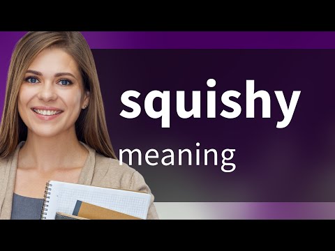 Squishy • SQUISHY meaning
