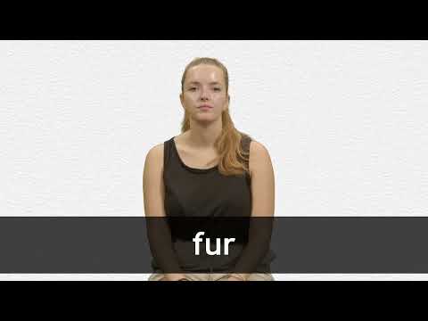 English Translation of “FUR” | Collins French-English Dictionary