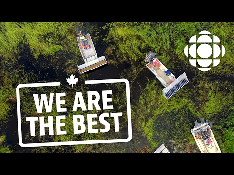 How some of the world's finest wild rice is grown and harvested | We Are The Best | CBC