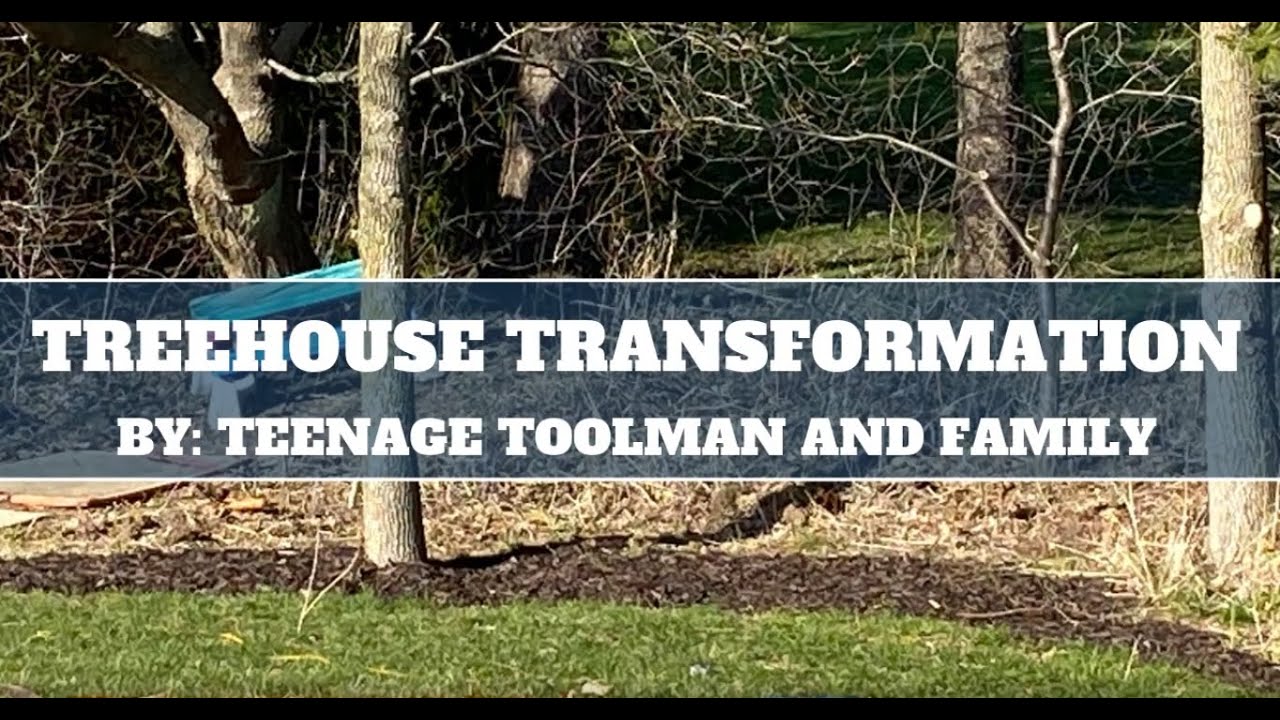 Treehouse progression