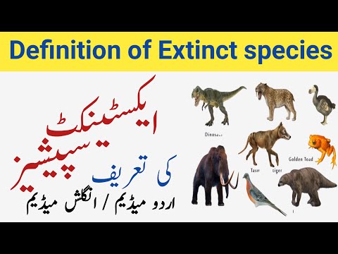 Extinct Species | Definition of Extinct Species | What are Extinct Species