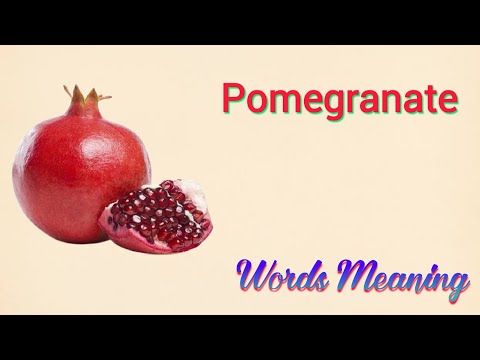 pomegranate meaning in hindi | pomegranate ka matlab kya hota hai | pomegranate means | pomegranate