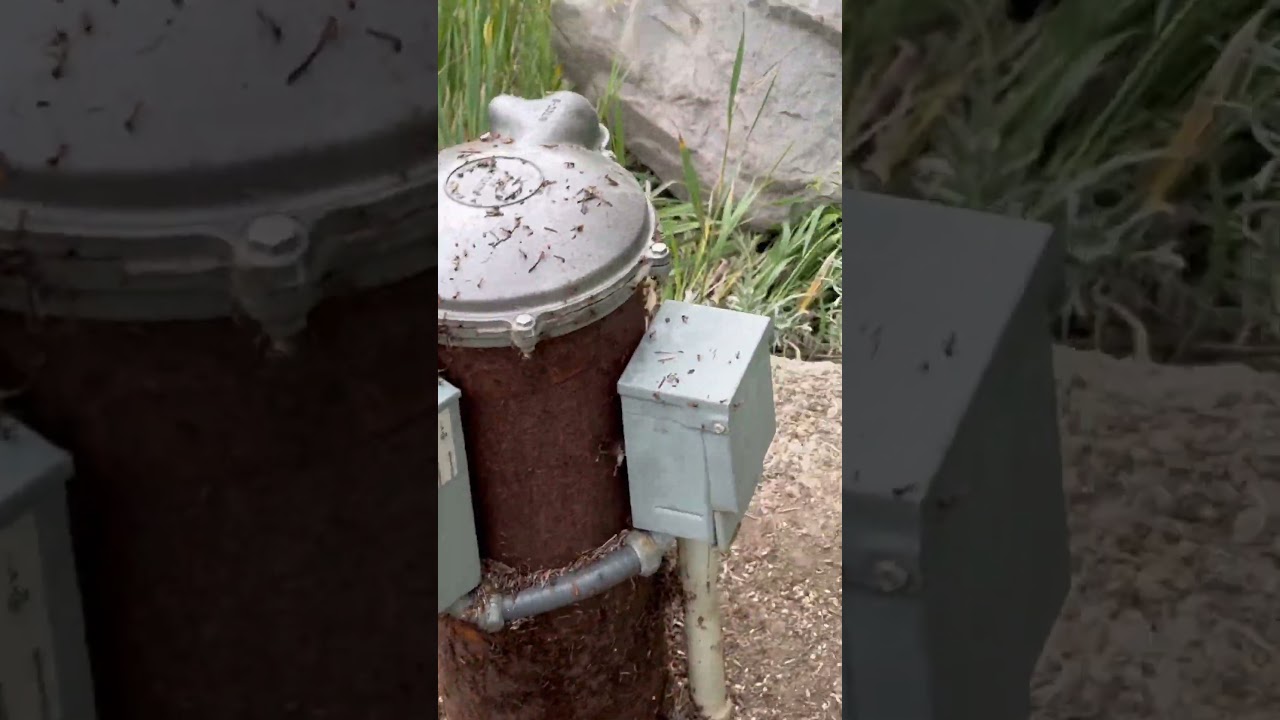 DO NOT Cover Your Well With Fake Rocks - Fire Ants! 💧Joel Hellwege, Pagosa Springs, CO