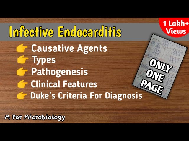 Understanding Infective Endocarditis: Types, Pathogenesis, Diagnosis ...
