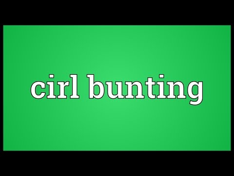 Cirl bunting Meaning