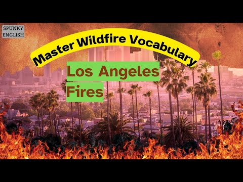 Los Angeles Fire: Master Fire-Related Vocabulary for Awareness #englishnews #englishlearning
