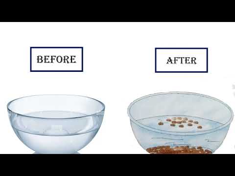 SELECTION AND SOWING OF SEEDS full explanation in hindi by EASY SCIENCE
