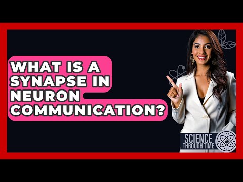 What Is A Synapse In Neuron Communication? - Science Through Time