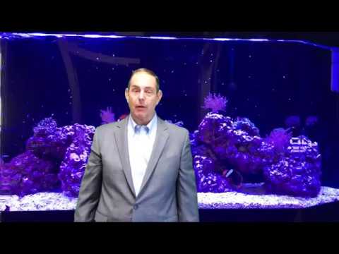 NJ Auto Insurance - Tort Option, or limited versus no threshold