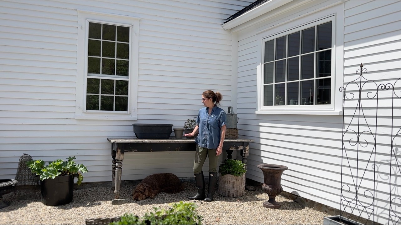 Transitions and new beginnings at home and business