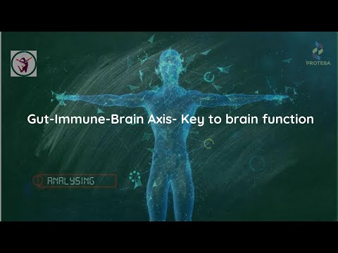 Decoding Gut Immune Brain Axis