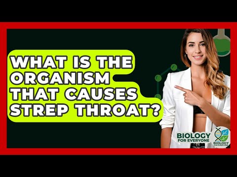 What Is The Organism That Causes Strep Throat? - Biology For Everyone