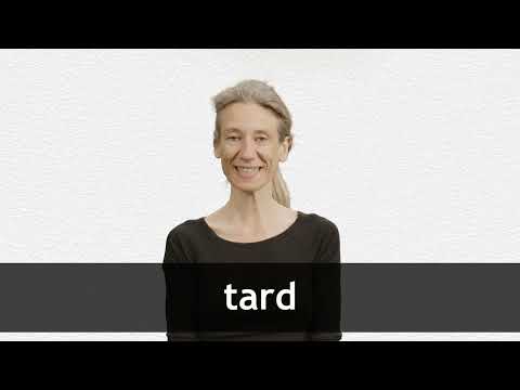 English Translation of “TARD” | Collins French-English Dictionary
