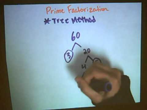 7.5 Prime Factorization