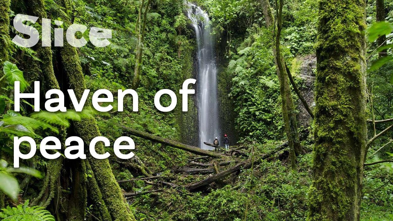 La Amistad International Park: The friendship place | SLICE