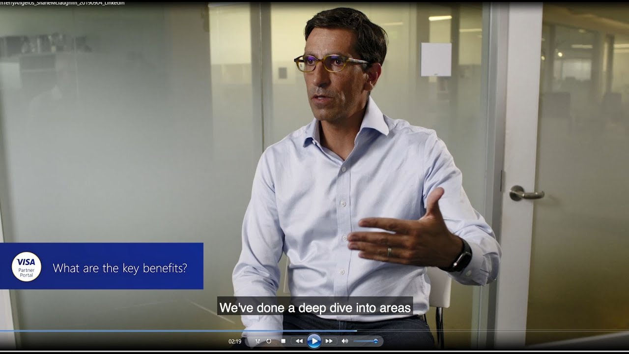 Visa partner portal explained