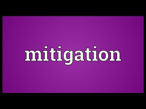 Mitigation Meaning
