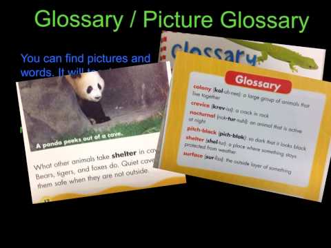 Informational Text Features