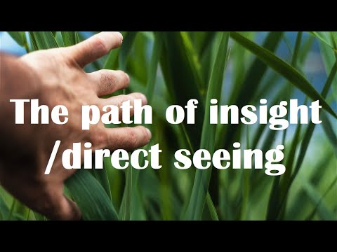 The path of insight or direct seeing | Tom Das