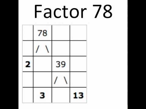 Factor A 78