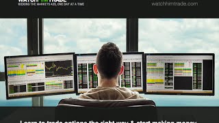 Trader Overview | What is a trader? - Zippia