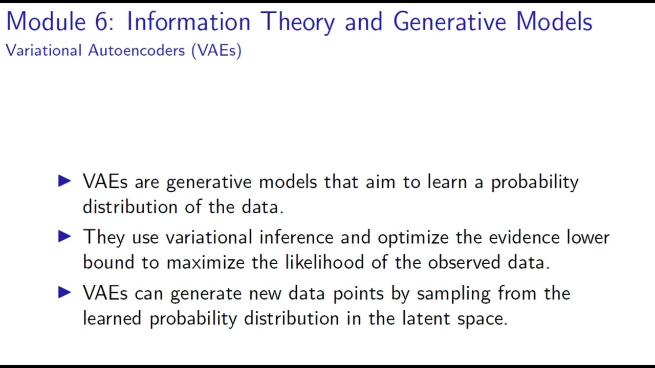 Module 6: Information Theory and Generative Models