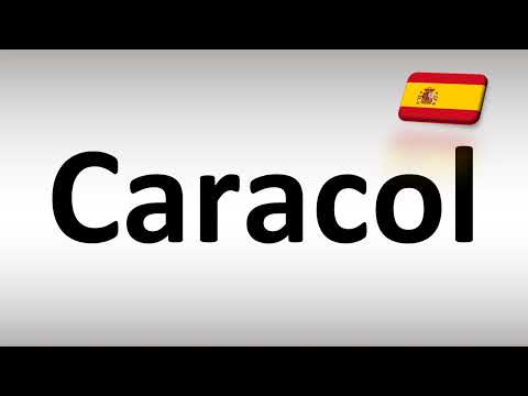 How to Pronounce Caracol (Snail) in Spanish