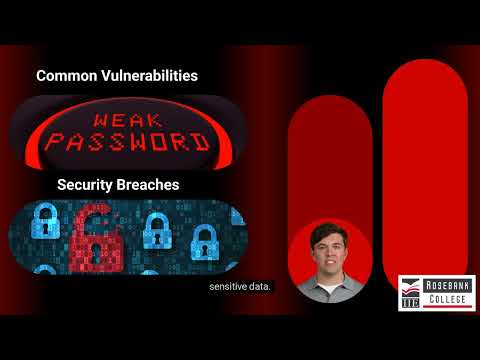 IT Security Governance Framework for Effective Information Security Decision Making (LU4/LO5)