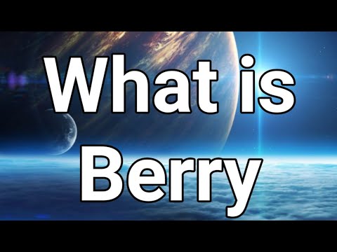 What is Berry. Urdu /English