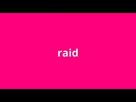 what is the meaning of raid