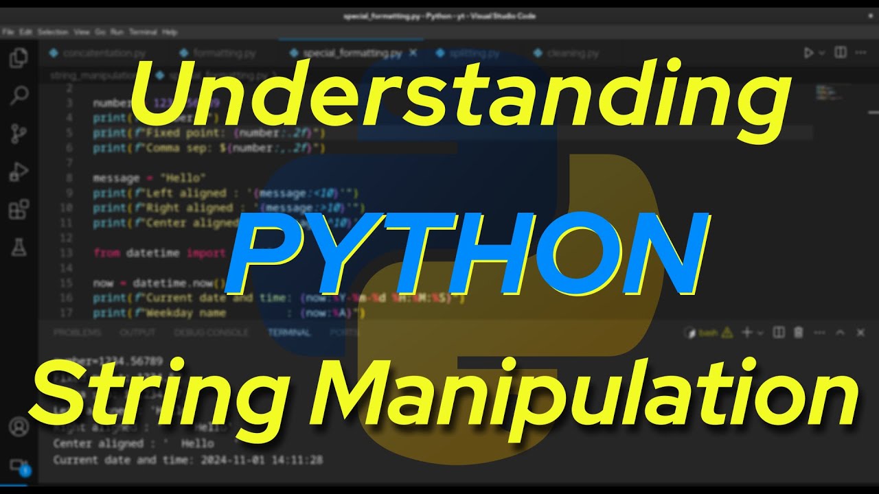 Understanding Python: String Manipulation