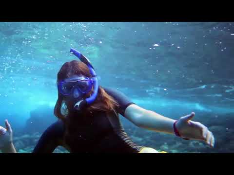 Expedia Ad - Sea Turtles | :30 | Expedia (2017 Television Commercial)