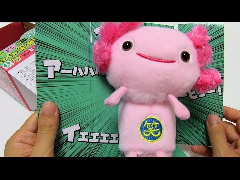Axolotl is Wooper Looper in Japan! Talking Plush
